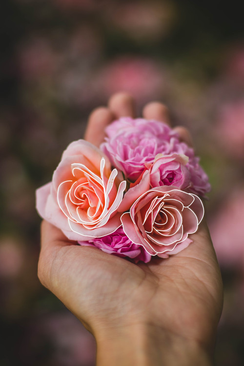 Toussaint : honorer ses défunts avec sens et douceur