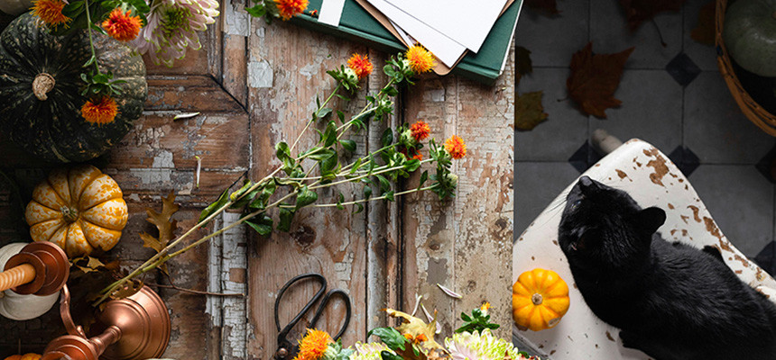 Toussaint : honorer ses défunts avec sens et douceur